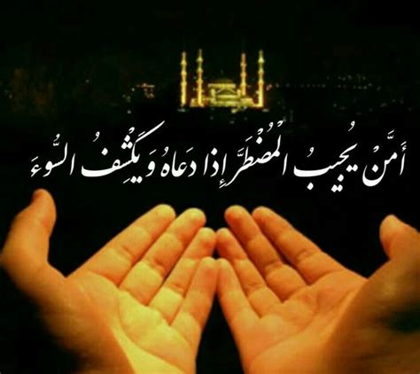 ⚜‍۲۵ ذی القعده و روز دحوالارض عکس ویسگون