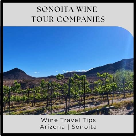 Sonoita Wine Tour Companies — Guided Wino