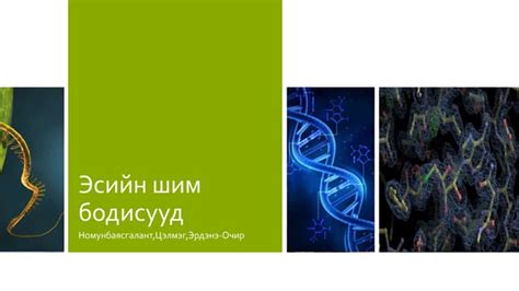 эсийн бүтэц бүрхүүл бөөм сийвэн Pptx