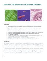 Exploring Microscopy: Cell Structures & Functions Explained | Course Hero
