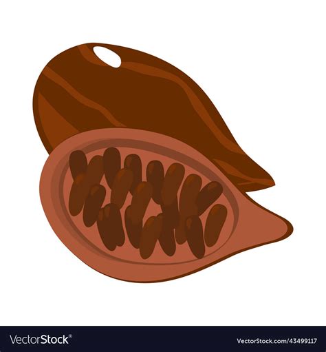 Cocoa Superfood Icon Royalty Free Vector Image