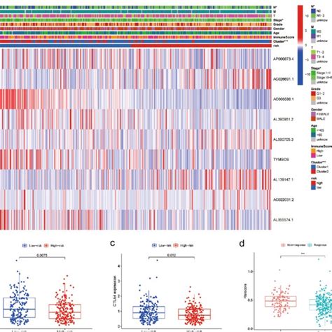 Co Occurrence And Mutual Exclusivity Plots Between Mutation Genes
