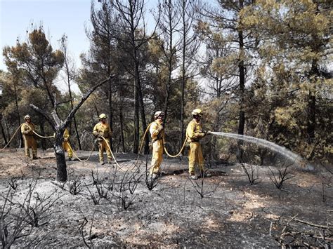 El Gobierno Aprueba La Declaración De Zona Catastrófica Por Incendios