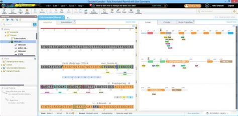 Genome Compiler Download Softpedia