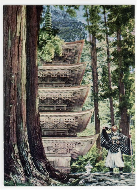〔絵葉書〕（山形県観光大観）国立公園・出羽三山 羽黒山杉参道（特別天然記念物）と五重塔（重要文化財） 【山形アーカイブ】