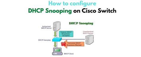 DHCP Snooping là gì Cấu hình DHCP Snooping trên Switch Cisco Viễn