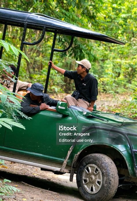 치트완에서 오프로드 차량과 관광객을위한 정글 사파리 경관에 대한 스톡 사진 및 기타 이미지 경관 계절 공동체 Istock
