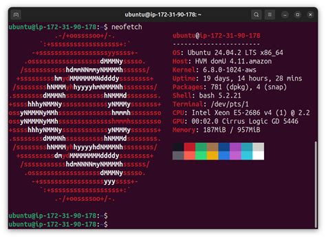 How To Get Information About Your Linux System Through The Command Line