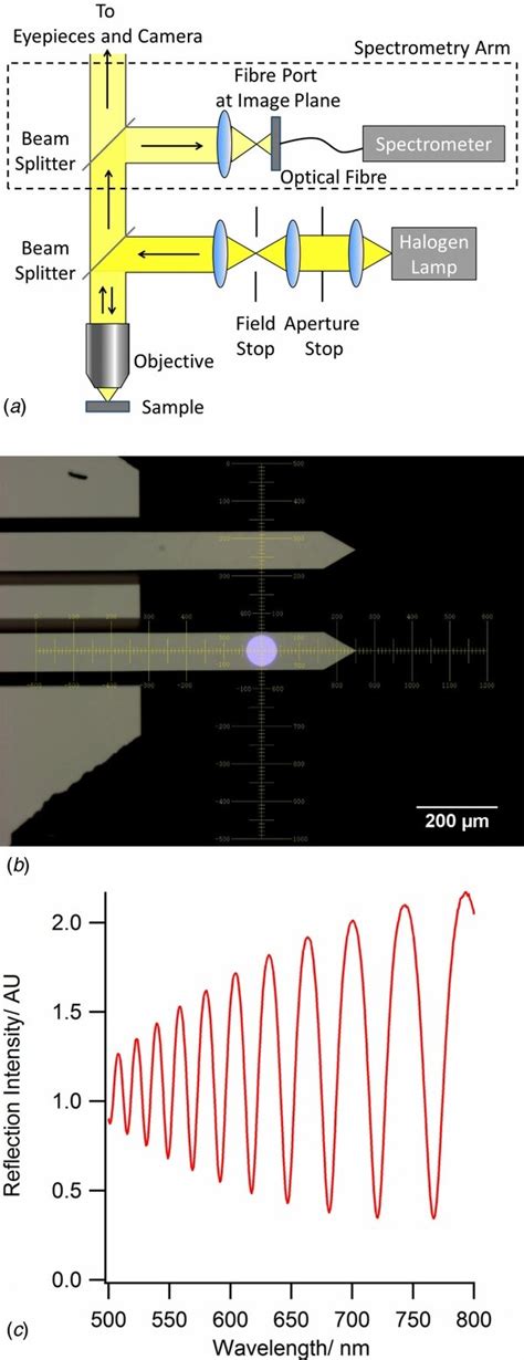 A A Schematic Of The Instrumentation Used For Optical Interferometry Download Scientific