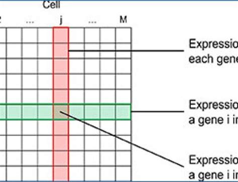 Single Cell Rna Sequencing Analysis A Step By Step Overview Rna Seq Blog