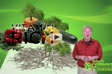 Soil Free Farming Grows Vegetables In The Desert Live Science