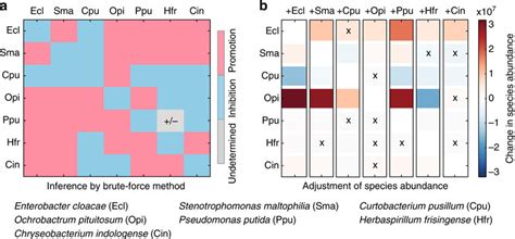 Inferring Interaction Types In A Synthetic Community Of Maize Roots