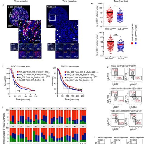 Multiplex Immunohistochemistry Staining Optimization For Cd3 Cd4 Cd8