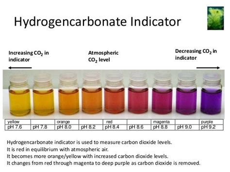 16 B1 33b Carbon Dioxide Indicator