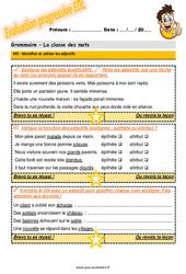 Evaluation progressive par compétences Adjectif Qualificatif eme Primaire pdf à imprimer