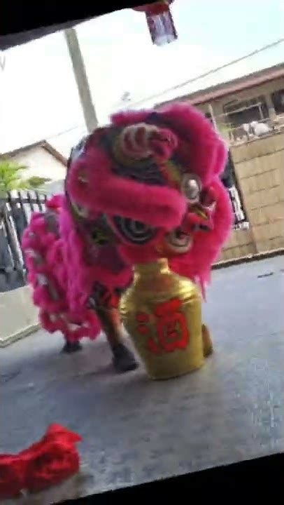 舞狮 舞狮 育才国中龙狮团 希望你们会喜欢呀😉 Youtube