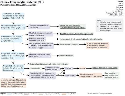 All About Leukemia From Diagnosis To Treatment A Comprehensive