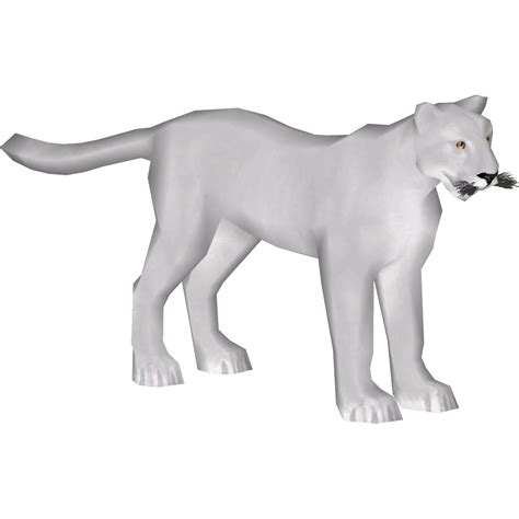 Albino Panther