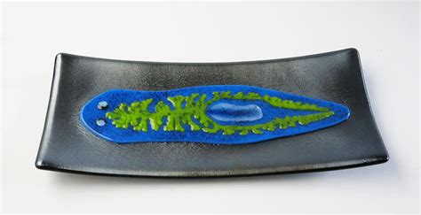Planarian Fused Glass Dish By Trilobiteglassworks On Deviantart