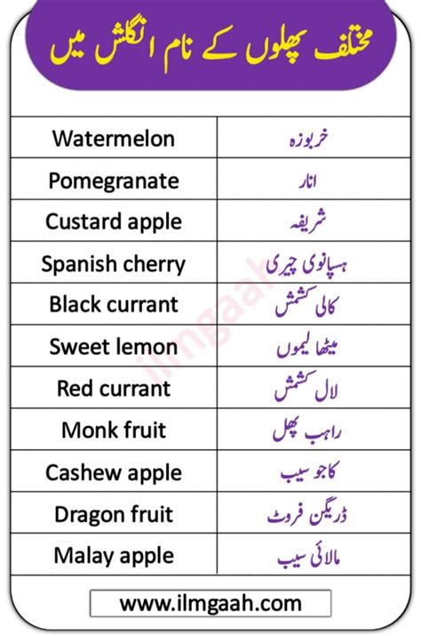 Name Of Fruits In English And Urdu