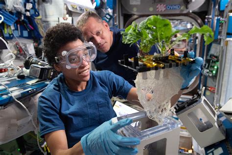Nasa Scientists At Work
