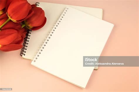 빈 메모장과 복사 공간이있는 분홍색 배경의 빨간색 튤립 0명에 대한 스톡 사진 및 기타 이미지 0명 개념 결혼식 Istock