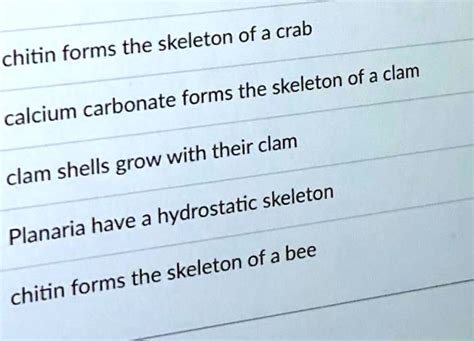 Solved Skeleton Of A Crab Chitin Forms The Skeleton Of A Clam Forms