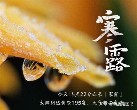 双语说节气｜如何用英语介绍“寒露”？know About Cold Dew 知乎