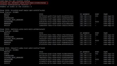 Validate The Nsx T Management Cluster Status From The Nsx Cli Vmware Nsx T Part 4