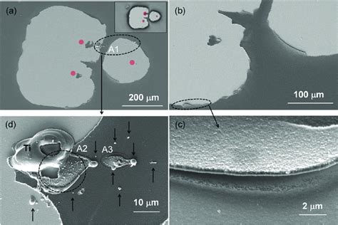SEM Images Showing The Morphology Of Damage Site In Location A At