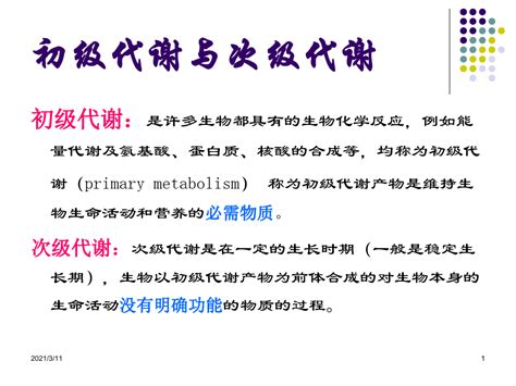 次级代谢产物全word文档在线阅读与下载无忧文档