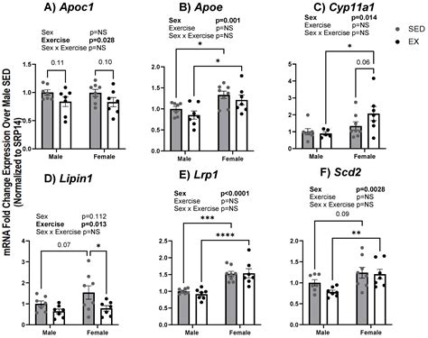 Ijms Free Full Text Maternal Exercise Prior To And During Gestation