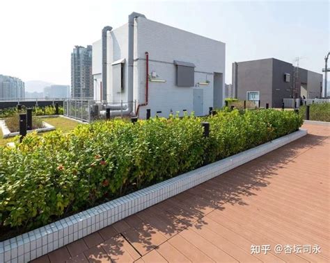 香港公开大学（the Open University Of Hong Kong） 知乎