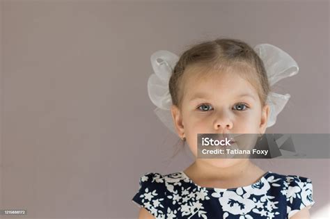 분홍색 배경에 머리에 두 개의 큰 활을 가진 세 살짜리 코카서스 아이의 웃는 초상화 3가지 개체에 대한 스톡 사진 및 기타
