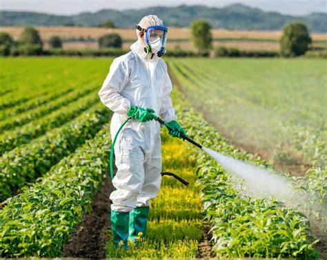 Step By Step Guide To Safe And Effective Pesticide Application Tubegalore