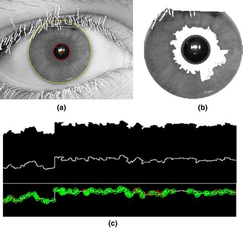 a iris scan b segmented iris with highlighted collarette in
