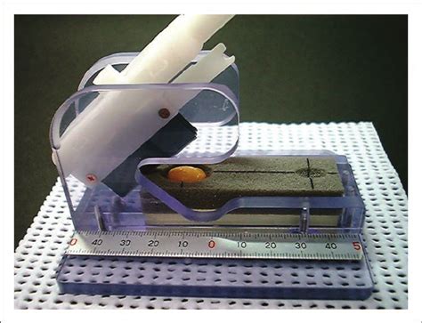 Lymph Node Cutting Device Download Scientific Diagram