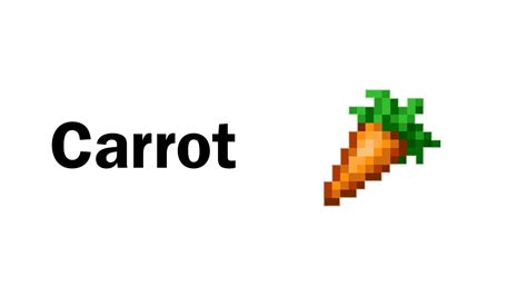 Hypixel Skyblock Farming For Carrot 1 Youtube