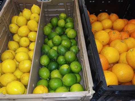 Bins Of Assorted Fruit Stock Image Image Of Healthy 226885611