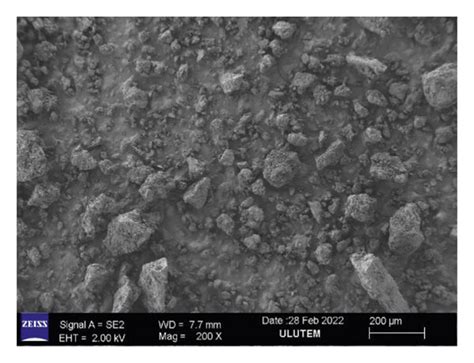 The Scanning Electron Microscopy Image Of Rosuvastatin Physical Mixture