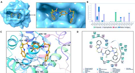 A Representation Of The Binding Mode Of Mol 1 Specs Sc Id Download Scientific Diagram