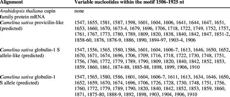 characterization of variable nucleotide motifs in the most conserved