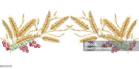 Wheat Seamless Border 클립아트는 수채화 밀 줄기와 빨간 열매를 결합하여 프로젝트를 위한 매력적인 디자인 요소를