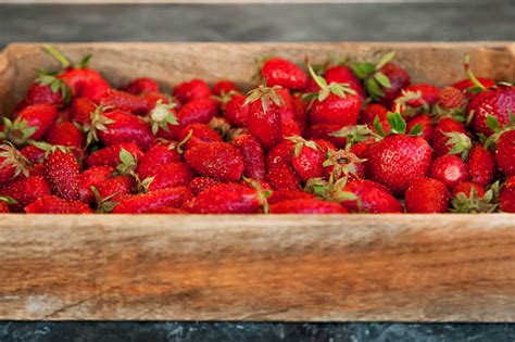 잘 익은 딸기의 자연 스러운 감촉 나무 상자 클로즈업 및 복사 공간에서 딸기의 배너입니다 과일에 대한 스톡 사진 및 기타 이미지 Istock