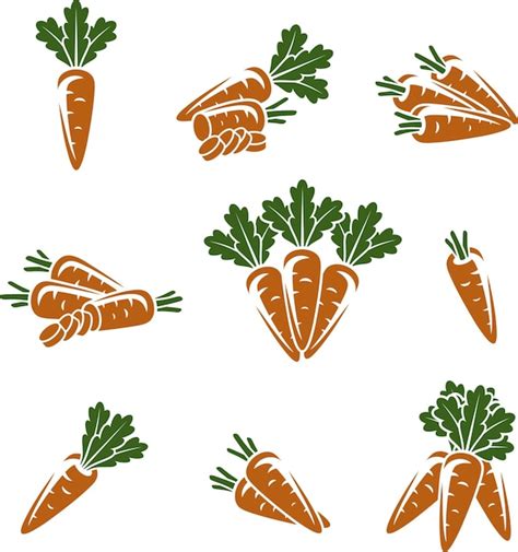 Premium Vector Carrot Set Vector