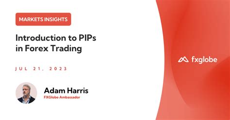 Introduction To Pips In Forex Trading Fxglobe