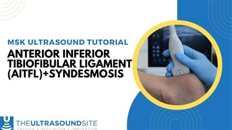 Musculoskeletal Ultrasound Tutorial Anterior Inferior Tibiofibular
