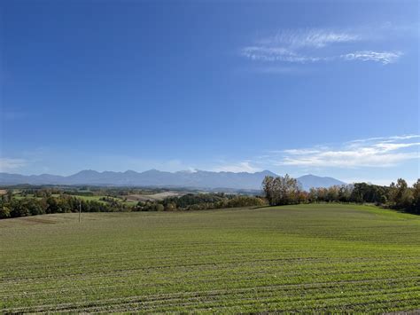 Asatan