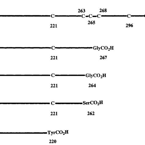 Scheme 2 Molecular Weights Of N Terminal Fragments Resulting From