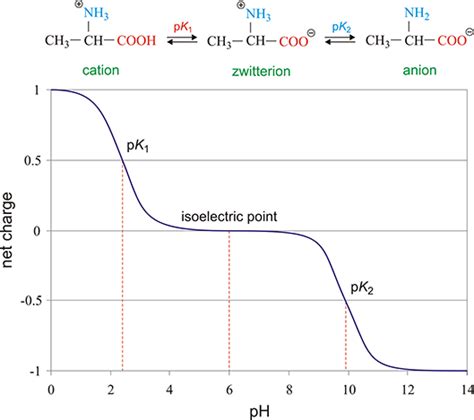Isoelectric Point PI Determination Pronalyse